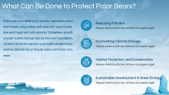 Free - Polar Bears Theme for PowerPoint and Google Slides - PPT Slides