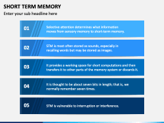 Short Term Memory PowerPoint and Google Slides Template - PPT Slides