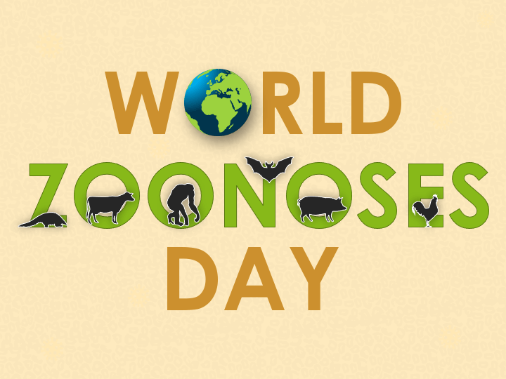 Free - World Zoonoses Day PowerPoint Template and Google Slides Theme