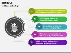 Bed Bugs PowerPoint and Google Slides Template - PPT Slides
