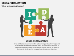 Cross-Fertilization PowerPoint and Google Slides Template - PPT Slides