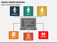 Organ Transplantation PowerPoint and Google Slides Template - PPT Slides