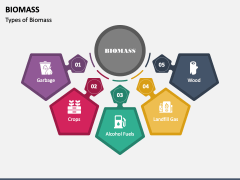 Biomass PowerPoint and Google Slides Template - PPT Slides