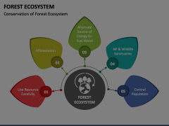 Forest Ecosystem PowerPoint and Google Slides Template - PPT Slides