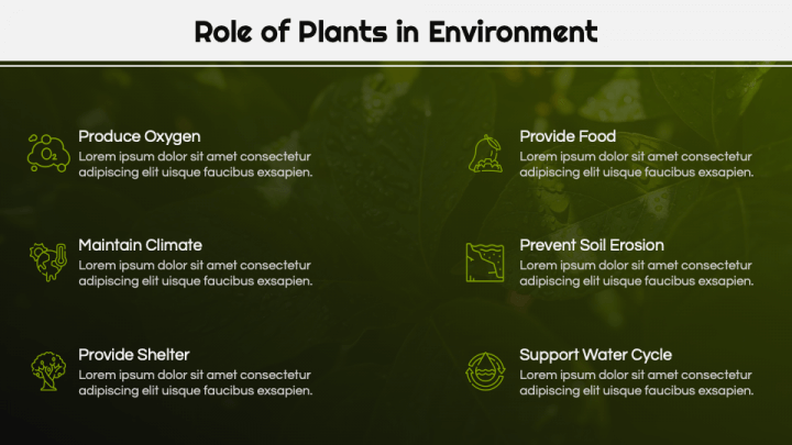 Free - Botany Lesson Presentation for PowerPoint and Google Slides ...