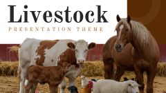 Free - Livestock Theme for PowerPoint and Google Slides - PPT Slides