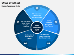 Cycle of Stress PowerPoint and Google Slides Template - PPT Slides