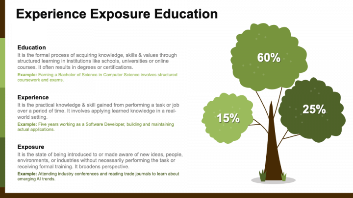 Experience Exposure Education PowerPoint and Google Slides Template