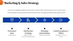 FMCG Company Business Plan PowerPoint and Google Slides Template - PPT ...