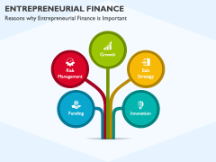 Entrepreneurial Finance PowerPoint and Google Slides Template - PPT Slides