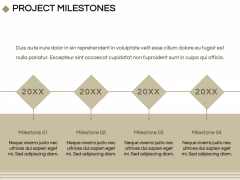 Project Success Story PowerPoint and Google Slides Template - PPT Slides