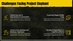 Free - Project Elephant PowerPoint and Google Slides Template - PPT Slides