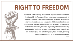 Free - Right to Freedom PowerPoint and Google Slides Template - PPT Slides