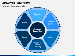 Consumer Perception PowerPoint and Google Slides Template - PPT Slides