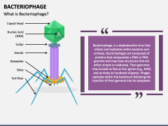 Bacteriophage PowerPoint and Google Slides Template - PPT Slides