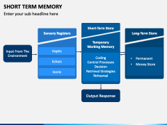 Short Term Memory PowerPoint and Google Slides Template - PPT Slides
