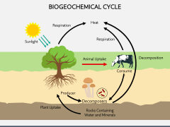Biogeochemical Cycle PowerPoint and Google Slides Template - PPT Slides