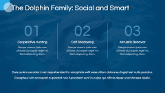 Free - Dolphin Presentation for PowerPoint and Google Slides - PPT Slides