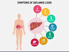 Inflamed Liver PowerPoint and Google Slides Template - PPT Slides
