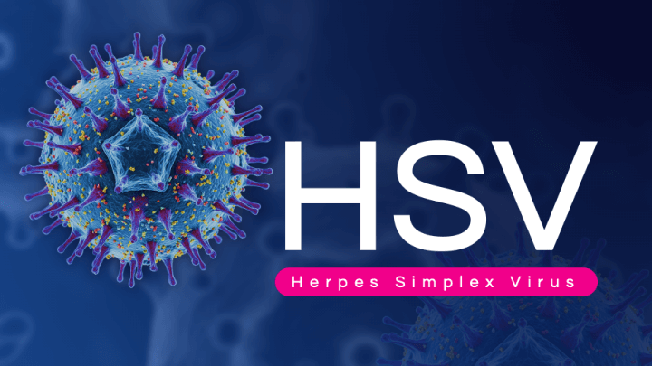 Herpes Simplex Virus (HSV) PowerPoint and Google Slides Template - PPT ...