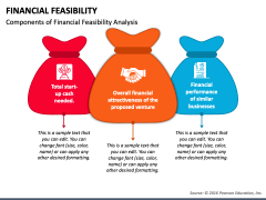 Financial Feasibility PowerPoint and Google Slides Template - PPT Slides