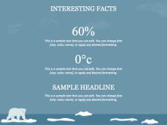 Free - International Polar Bear Day PowerPoint Template and Google ...
