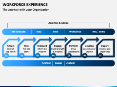 Workforce Experience PowerPoint and Google Slides Template - PPT Slides