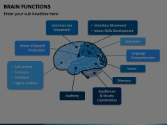 Brain Functions PowerPoint and Google Slides Template - PPT Slides