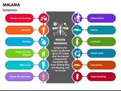 Free Malaria PowerPoint and Google Slides Template - PPT Slides