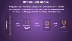 Operational Data Store PowerPoint and Google Slides Template - PPT Slides