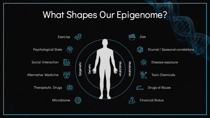 Epigenetics PowerPoint and Google Slides Template - PPT Slides