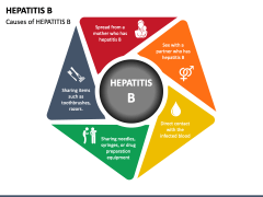 Hepatitis B PowerPoint and Google Slides Template - PPT Slides
