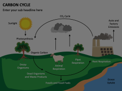 carbon cycle steps ppt