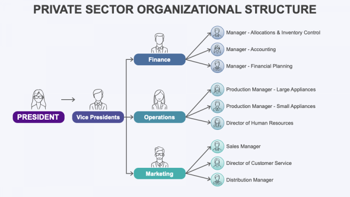 Private Sector Organizational Structure for PowerPoint and Google ...