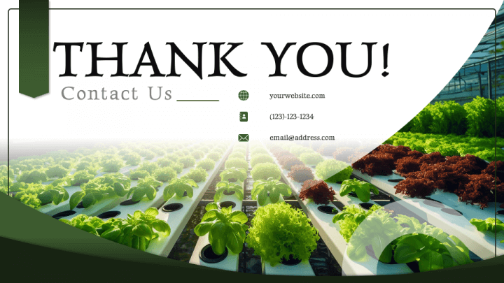 Hydroponic Farming Business Plan PowerPoint and Google Slides Template