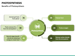 Photosynthesis PowerPoint and Google Slides Template - PPT Slides