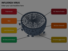 Influenza Virus PowerPoint and Google Slides Template - PPT Slides