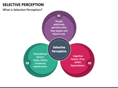 Selective Perception PowerPoint and Google Slides Template - PPT Slides