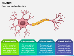 Neuron PowerPoint and Google Slides Template - PPT Slides