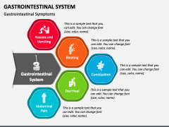Gastrointestinal System PowerPoint and Google Slides Template - PPT Slides