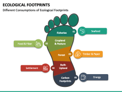 Ecological Footprints PowerPoint and Google Slides Template - PPT Slides