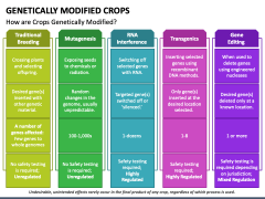 Genetically Modified Crops PowerPoint and Google Slides Template - PPT Slides