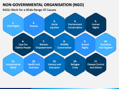 NGO PowerPoint and Google Slides Template - PPT Slides