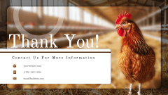 Poultry Farm Company Presentation PowerPoint and Google Slides Template ...