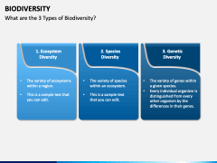 Biodiversity PowerPoint and Google Slides Template - PPT Slides