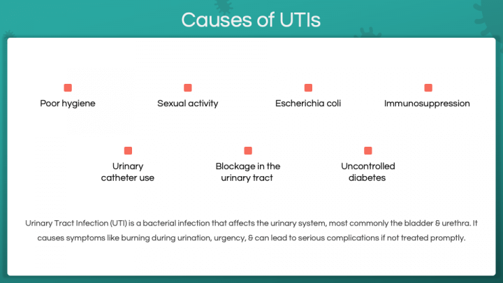 Urinary Tract Infection PowerPoint and Google Slides Template - PPT Slides