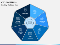 Cycle of Stress PowerPoint and Google Slides Template - PPT Slides