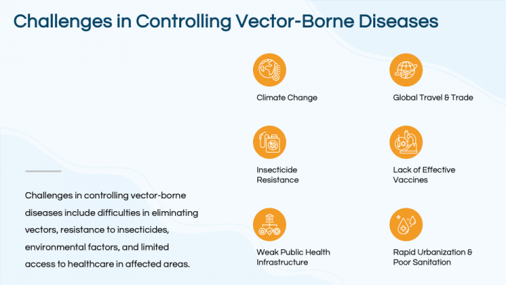 Vector-Borne Disease PowerPoint and Google Slides Template - PPT Slides