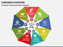 Corporate Ecosystem PowerPoint and Google Slides Template - PPT Slides
