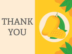 Free - National Mango Day PowerPoint Template and Google Slides Theme